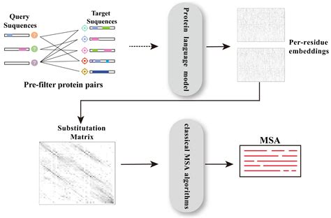The Historical Evolution And Significance Of Multiple Sequence Alignment In Molecular Structure