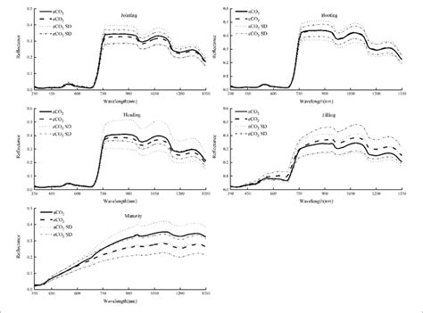 Spectral Reflectance Of Winter Wheat Canopy At Different Growing