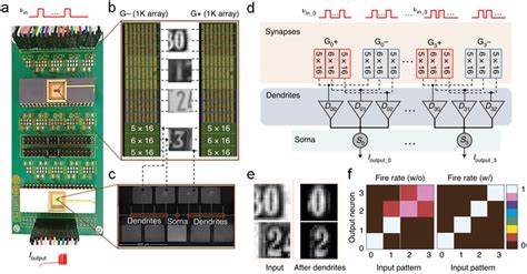 a optical image of a single‐layer snn circuit with artificial