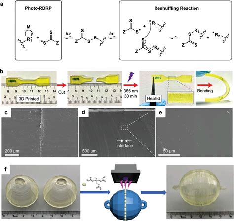 The Emergence Of Reversibledeactivation Radical Polymerization In 3d Printing Bobrin 2023