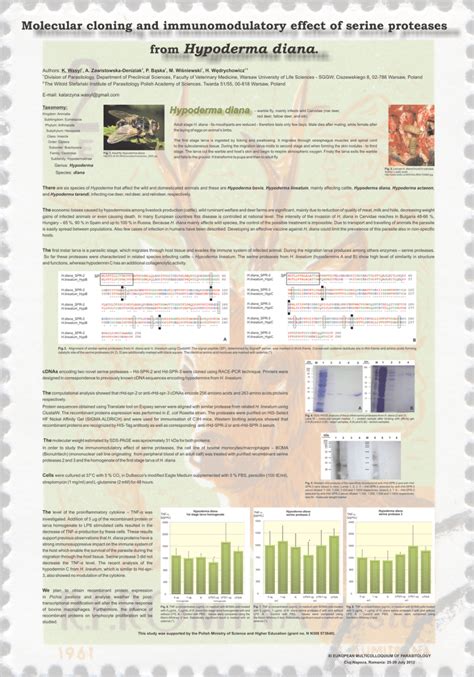 pdf molecular cloning and immunomodulatory effect of the serine