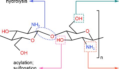 Functional Groups Of Cs That Can Be Chemically Modified Based On Ref Download Scientific