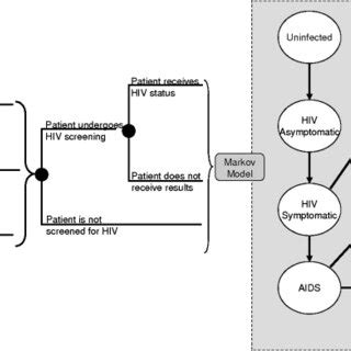 Schematic Representation Of Decision Model The Square Node At The Left Download Scientific