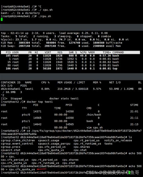 docker容器资源控制：cpu、内存和磁盘i o限制详解 csdn博客