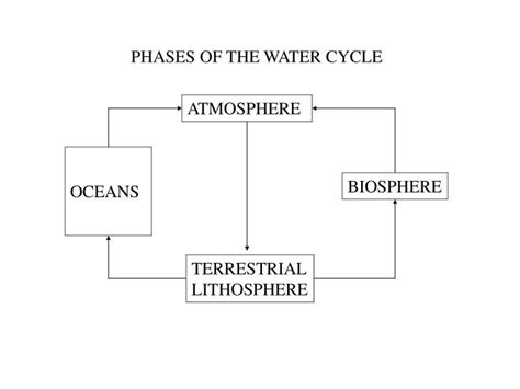 PPT Hydrological Effects Of Vegetation Cover In Different Biomes PowerPoint Presentation ID