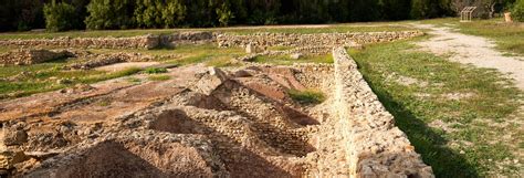 Best Tours And Activities In Nabeul Discover Tunisia Civitatis