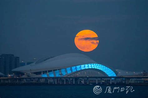 快抬头看！今晚的月亮，美呆了！2006年以来之最！厦门日报社满月许秋珩