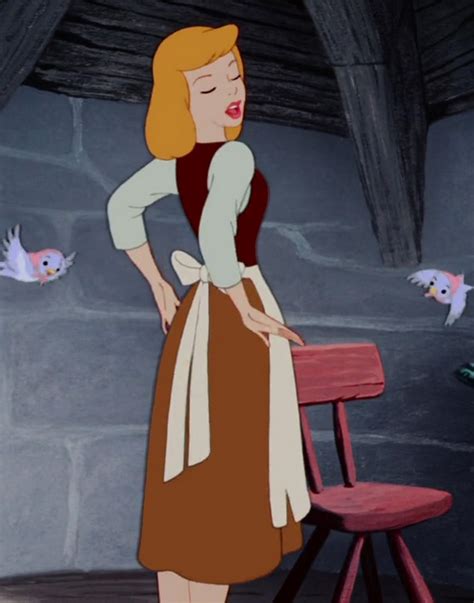 Cinderella Brown Dress