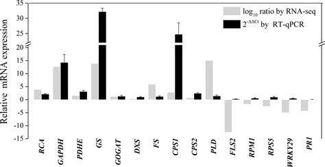 Frontiers Comparative Transcriptomics And Proteomics Of Atractylodes