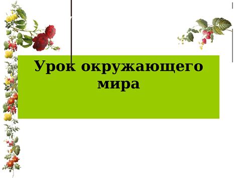 Комнатные растения Урок окружающего мира презентация онлайн