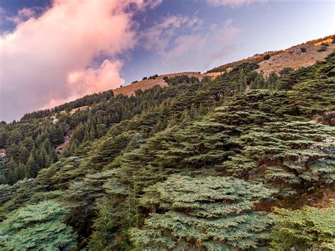 Rami Rizk Aerial Photograhpy Gallery