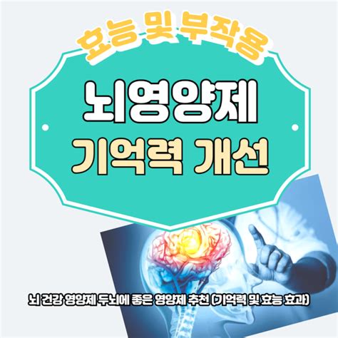 뇌 건강 영양제 두뇌에 좋은 영양제 추천 기억력 및 효능 효과 네이버 블로그
