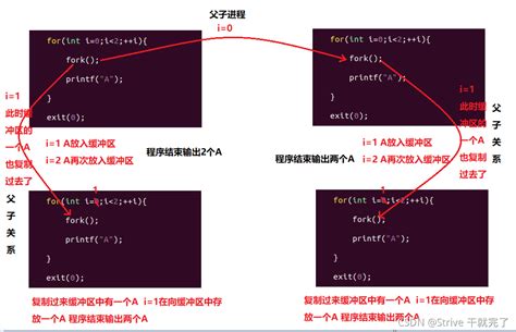 fork 进程复制 父子进程共享文件偏移量 exec替换进程 fork复制父进程 csdn博客