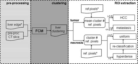 Steps Of The Segmentation Algorithm User Interaction Download