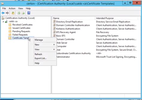 How To Create A Microsoft Certificate Authority Template For Ssl