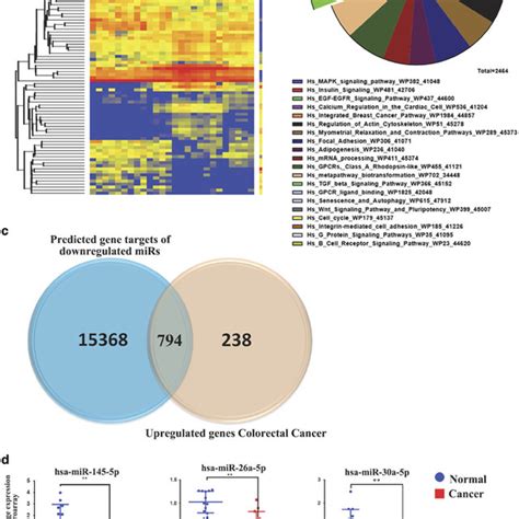 Rna Expression Profiling In Crc A Hierarchical Clustering Of 13