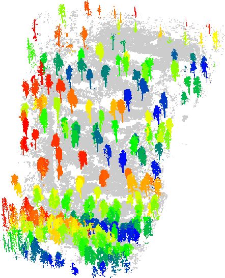 Figure 1 From A Fully Automatic Forest Parameters Extraction At Single