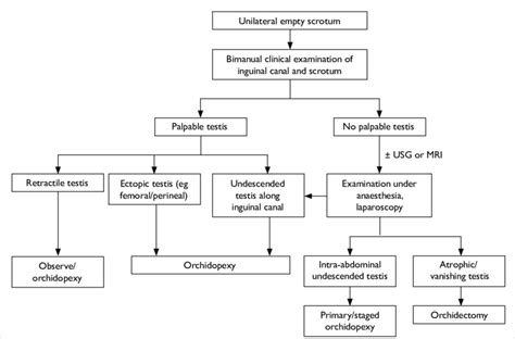 Clinical Pathway For Unilateral Empty Scrotum Abbreviations Mri Download Scientific Diagram