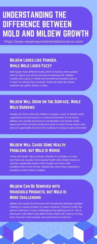 Understanding The Difference Between Mold And Mildew Growth Pdf