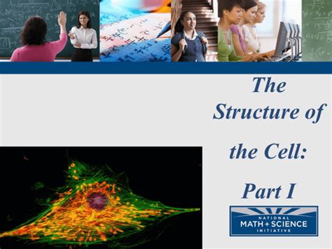 Cell Structure PPT Part
