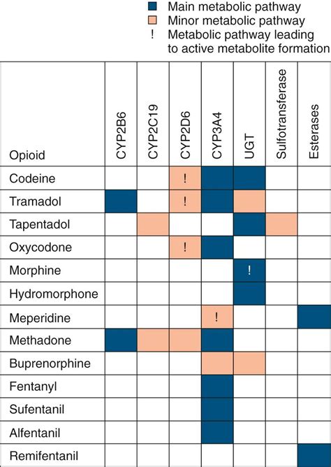 Intravenous Opioid Agonists And Antagonists Clinical Tree