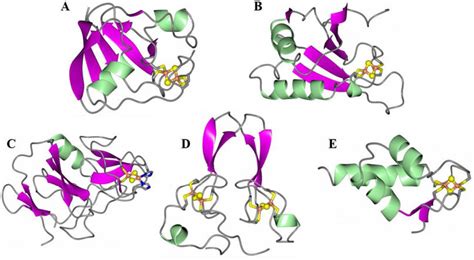 Figure 1 From Bfd A New Class Of [2fe 2s] Protein That Functions In Bacterial Iron Homeostasis