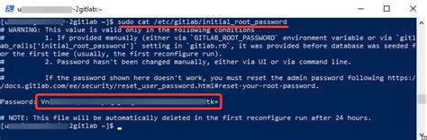 usage guideline debian 10 with gitlab issue tracking tool virtual