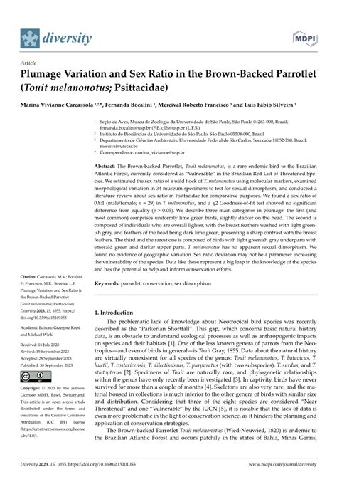 Pdf Plumage Variation And Sex Ratio In The Brown Backed Parrotlet