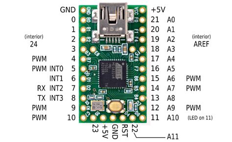 Teensy And Teensy Pinouts For C Language And Arduino Software