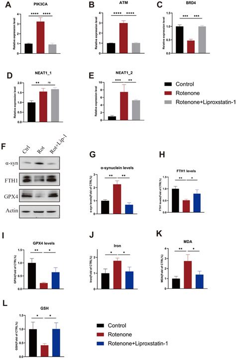 validation of the degs in pd models a e the mrna relative expression