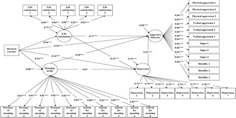 Figure 1 From The Relationship Between Physical Exercise And Aggressive
