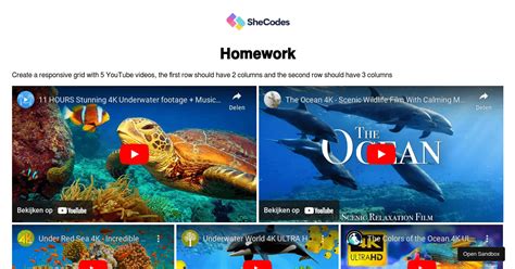 Homework Challenge Codesandbox