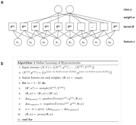 Graphical And Algorithmic Representation Of The Hypernetwork Model A