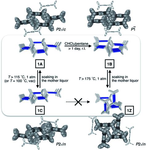 Schematic Representation Of The Structural Interconversions Between The