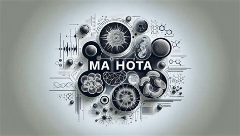 Mahotas Innovationworld
