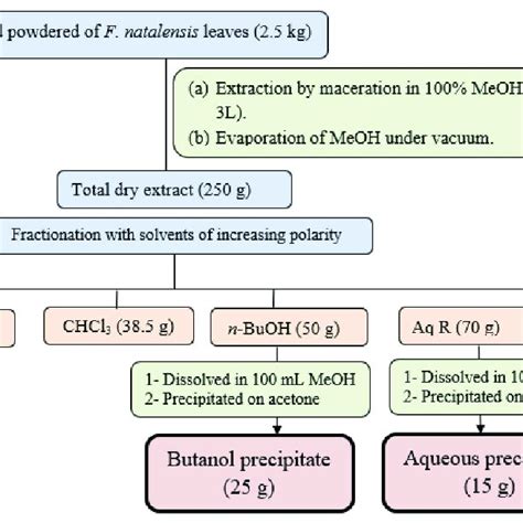 Extraction And Fractionation Scheme Of F Natalensis Leaves Download