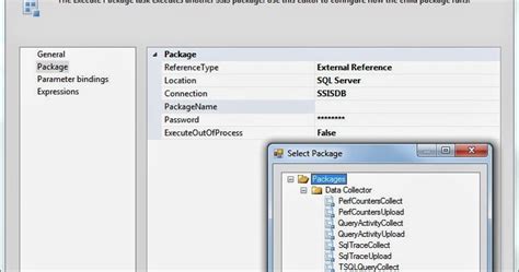 Microsoft SQL Server Integration Services SSIS Execute Package Task External Reference