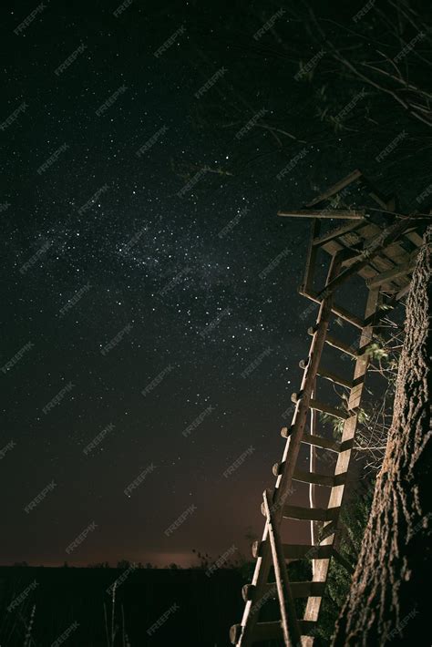 premium photo wooden ladder on the tree against starry night sky stairway to the starry sky