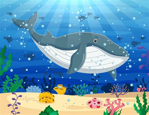 Dibujos Animados Ballena Nadando En El Océano Vector Ilustración