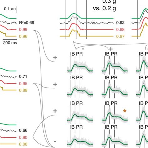 Comparison Of Waveforms Representing Mean Differences Across Download Scientific Diagram