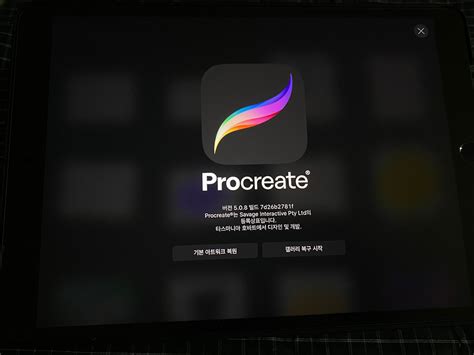 아이패드 그림그리기 어플 프로크리에이트 50 후기