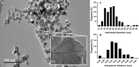 Transmission Electron Microscopic Tem Image Of Tio2 Nanoparticles Download Scientific Diagram