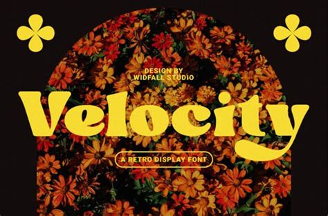 Velocity Dynamic Font Creative Fonts