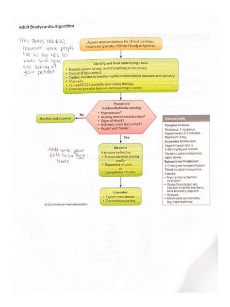 2021 Acls Notes Pdf