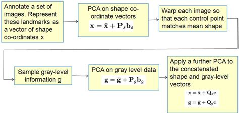 Active Appearance Model Methodology Download Scientific Diagram
