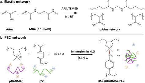 Structureproperty Relationships Of Granular Hybrid Hydrogels Formed Through Polyelectrolyte