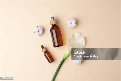 파스텔 베이지 색 배경에 꽃이 있는 화장품 스킨 케어 제품 플랫 레이 복사 공간 0명에 대한 스톡 사진 및 기타 이미지 0명 건강관리와 의술 꽃 식물 Istock