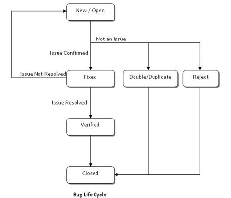 Bug Life Cycle QA And Testing Tutorial
