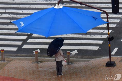 또 다른 우산 뉴스1