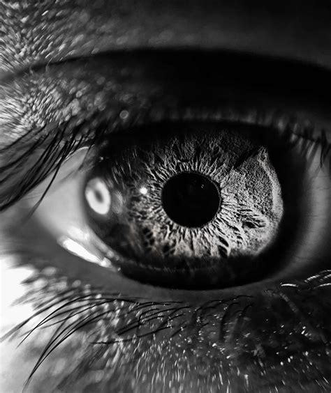 Download Black And White Eye Macro Photography Wallpaper